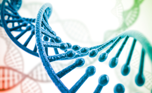 Genetic Factors and Tooth Decay Risk | Genetics and Dental Care Atlanta