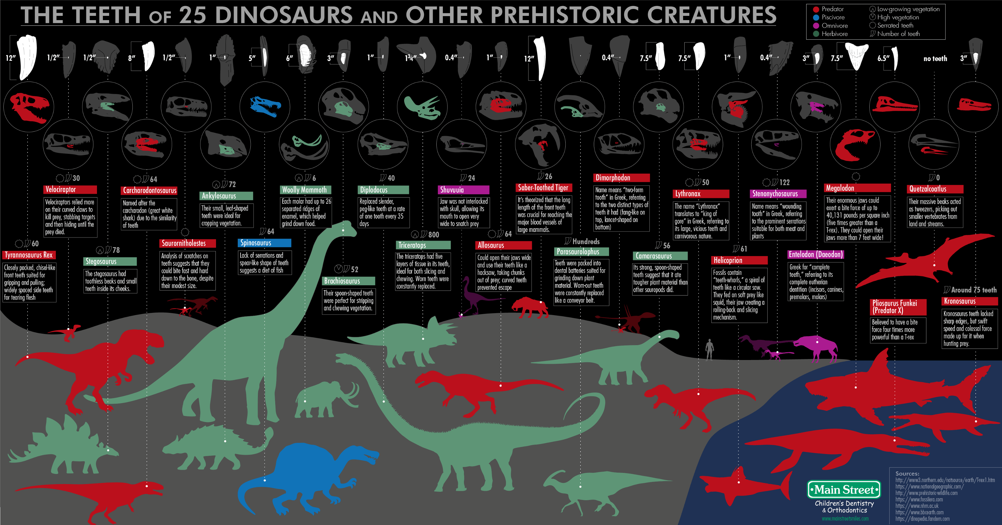 The Teeth of 25 Dinosaurs and Other Prehistoric Creatures | Main Street ...